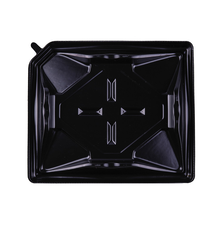 Promotional plastic sushi tray take away portable sushi box,Shantou ...