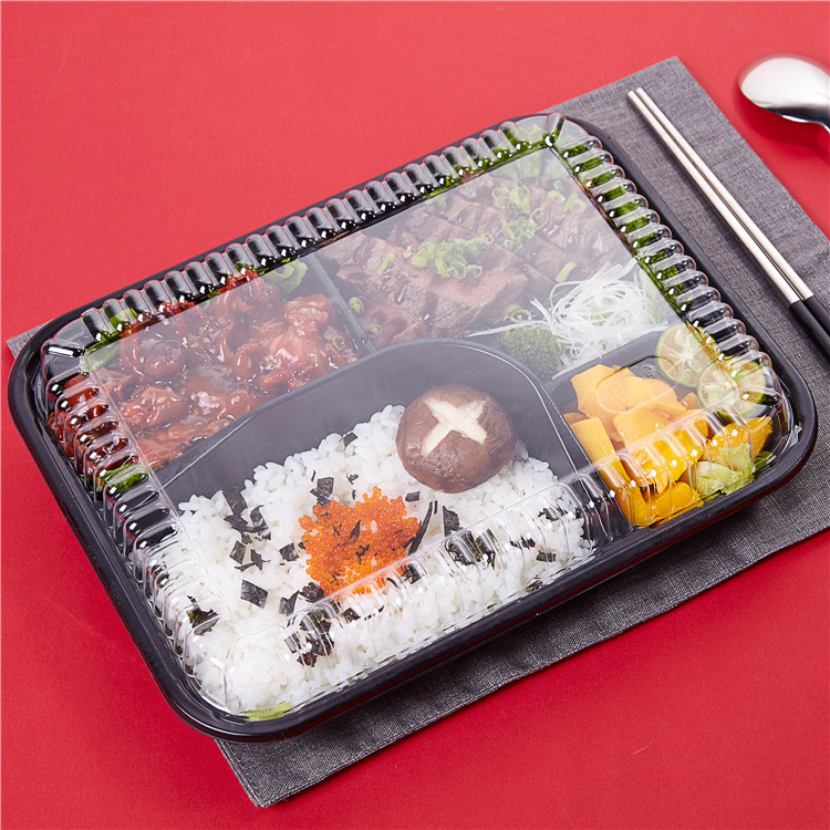 Hot selling portable disposable take out plastic lunch box,Shantou ...
